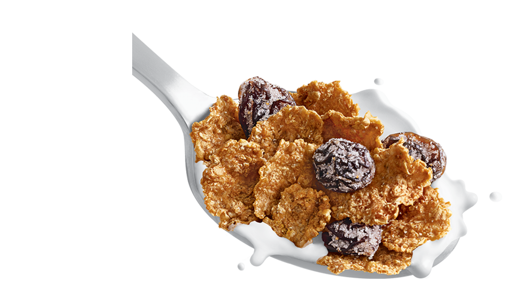 Cereal, Raisin Bran V